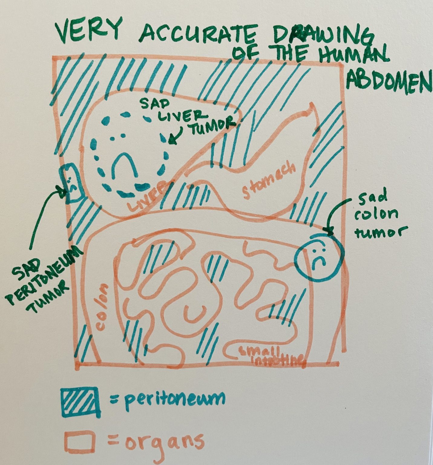 May 19th, 2022 Update – Amanda Olinger